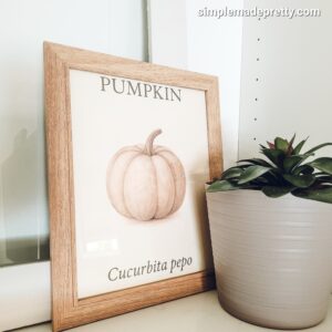 $10 Fall Decor Challenge – Cozy DIYs with Dollar Tree Finds - Simple ...